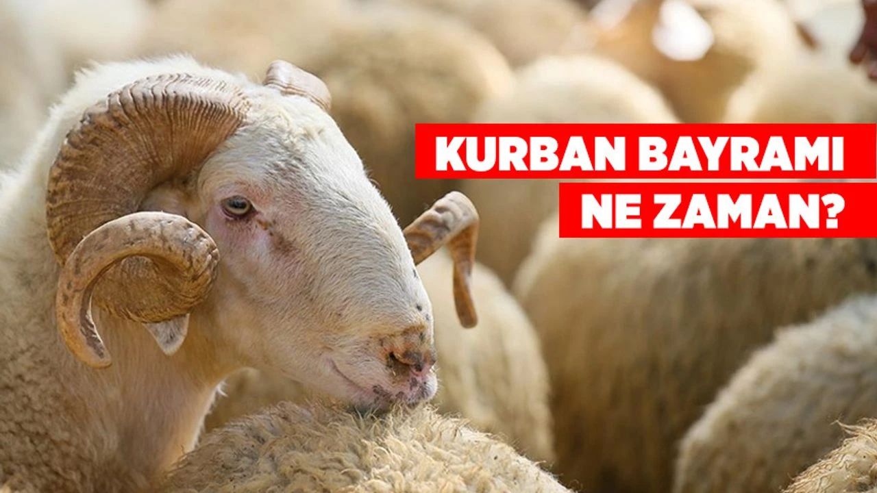 2025 Kurban Bayramı Ne Zaman? Tatil 9 Gün Olacak mı? İşte Merak Edilen Tüm Detaylar! - Kariyer Memur